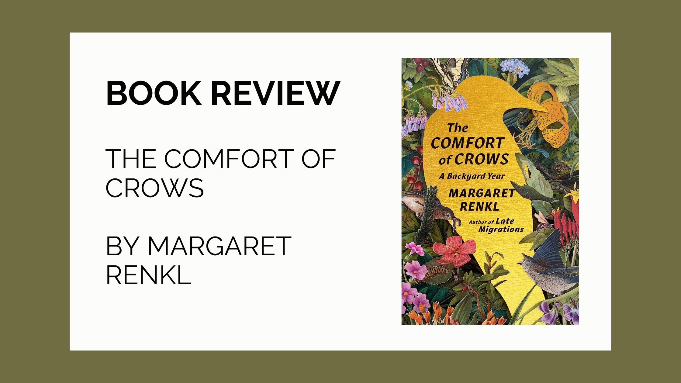 The Comfort of Crows by Margaret Renkl - Starlight Reading